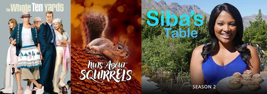 Top 5 Air Guns for Pest Control: Reviews & Buyer's Guide
