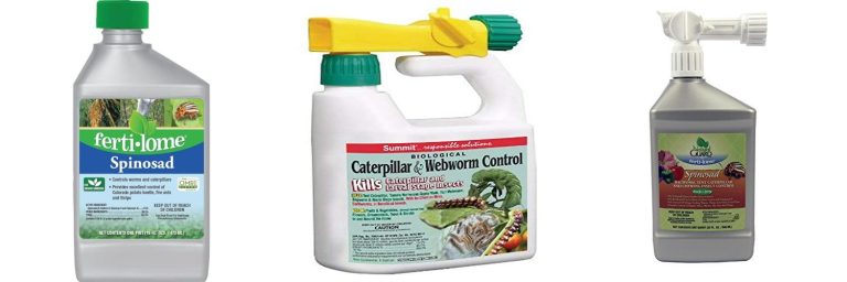Top 5 Insecticides for Bagworms: Expert Review and Guide