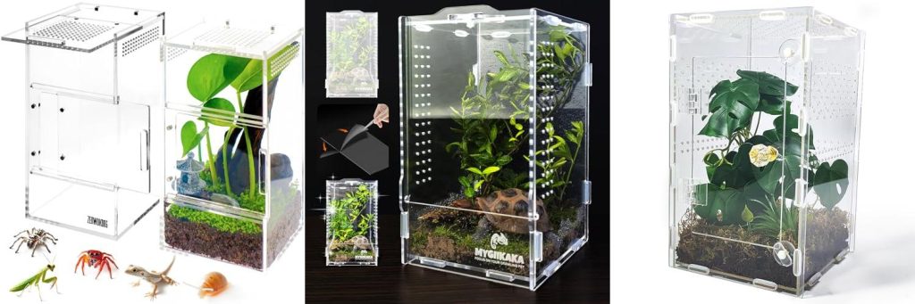 Top 5 Jumping Spider Enclosures: Reviews & Buying Guide