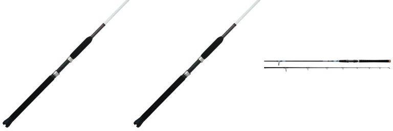 Top 5 Striper Rods: Reviews & Buyer's Guide for Big Fish
