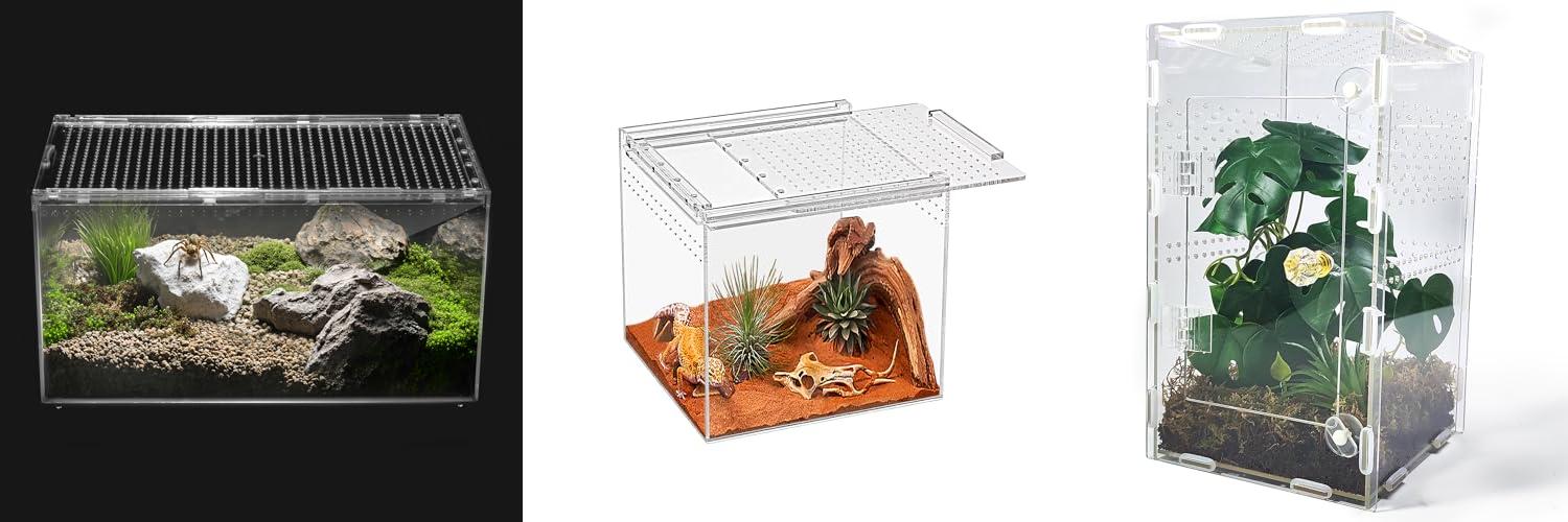 Top 5 Tarantula Enclosures: Reviews & Buying Guide for Beginners