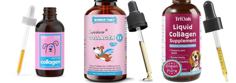 Top 5 Liquid Collagen For Dogs: Best Picks Reviewed