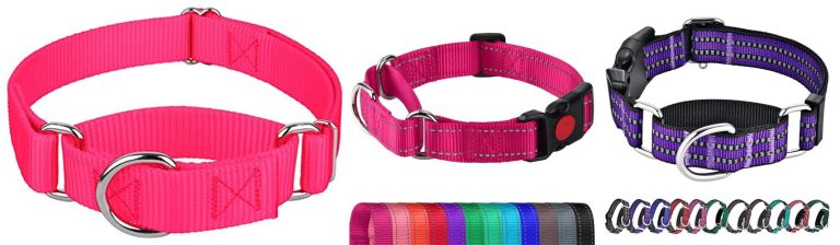 Top 5 Martingale Collars: Your Dog's Safety Guide