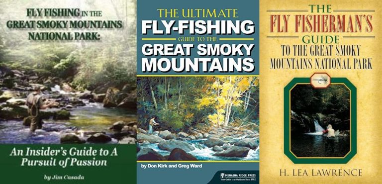 Top 5 Fly Fishing Spots: Great Smoky Mountains Guide