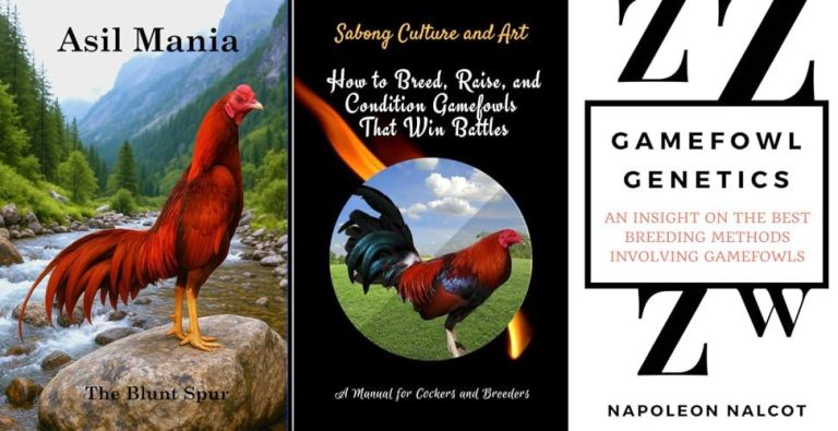Best Gamefowl Breeds: Our Top 5 Picks Reviewed