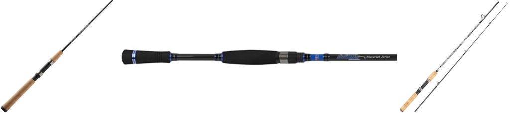 Top 5 Spinning Rods Under $100: Your Buying Guide